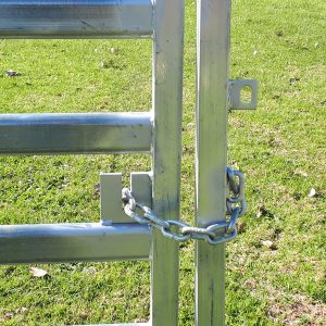 Sheep Drafting Gate -600 - AG Wide Wholsalers